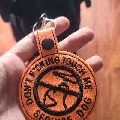 Service Dog Tag, Personalized for Dogs, Working Dog Gear, Don't Pet Me ...