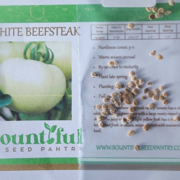 Squash Calabacita Mexican Grey Squash Grey Squash Grey Zucchini Summer ...