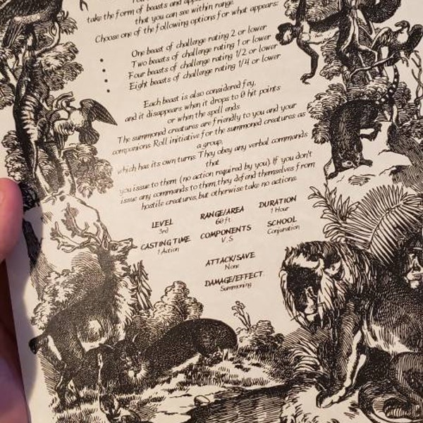 Player Turn Guide Card Printable for Dice and Dragons - Etsy