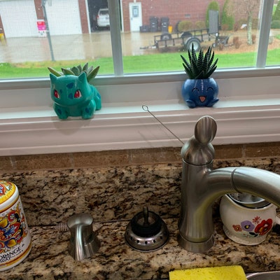 Bulbasaur pintado y maceteros extraños con suculentas/cactus - Etsy México