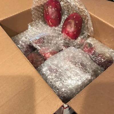 Malanga Coco Yam, Malanga Coco Root, Yautia, Cocoyam, Tannia, Eddo 4 ...