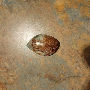 Beautiful Red Heaxagon River Jasper Cabochon Ocean Jasper Frog Egg From ...