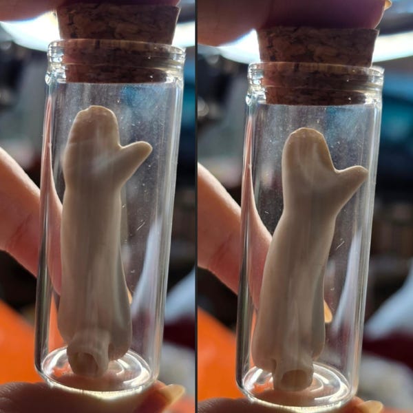 Real Moose Pellet in Glass Vial, Moose Poop, Animal Dung, Weird Gift ...