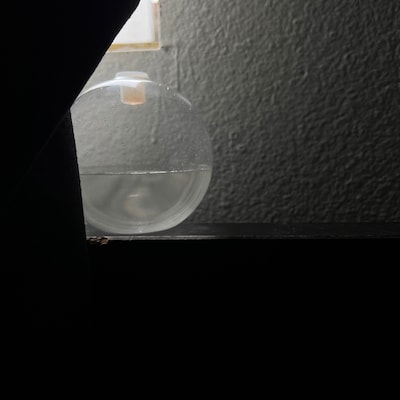 Bio-orb Glass Sphere Only 10cm and 15cm Sizes - Etsy