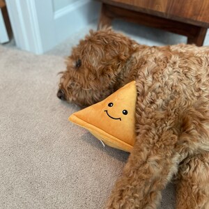 Samosa Plush Chew Toy for Pets - Etsy