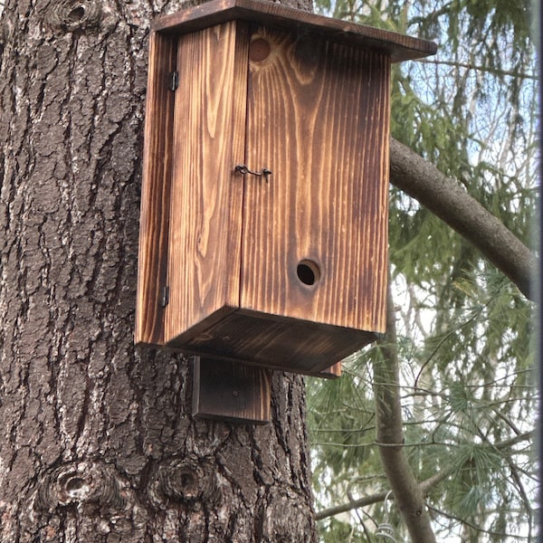 Cardinal Nesting Box - Etsy