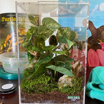 Plastic Moss Pads: Artificial Aquarium Plants Reptile Terrarium Plants ...