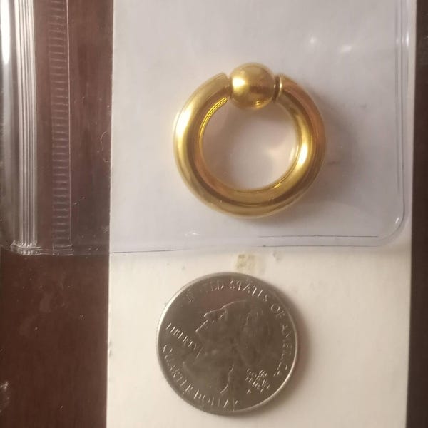 Prince Albert Piercing Jewelry, (2pcs) Ball Closure Ring and Circular ...