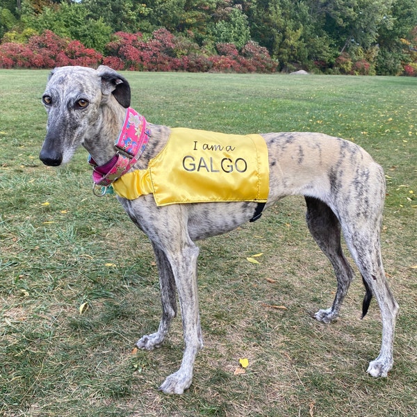 Greyhound Coats, Greyhound Track Coats. Nylon Dog Coats, Fleece Lined ...