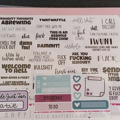 Swear Words and Insults Planner Stickers Quote Sheet - Etsy