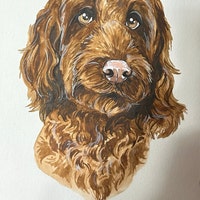 36 Set Dog Instagram Highlight Icons Unique Watercolor Dog Icons Pet ...