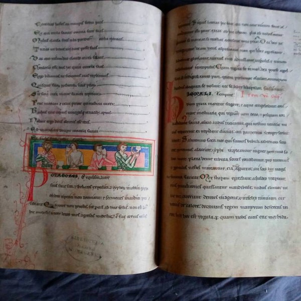 Voynich Manuscript Facsimile Faithful Leatherbound Reproduction ...