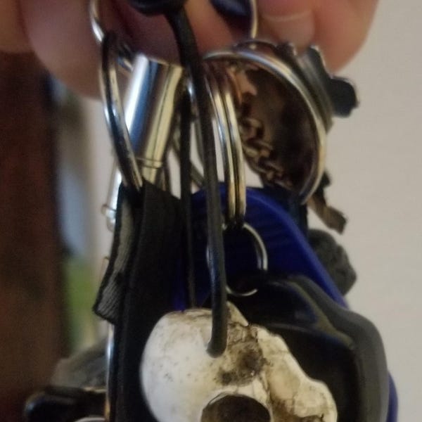 Raven Skull Replica Catalyst Studios Exclusive for Display Costume ...