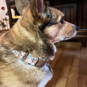 The Clover / Green and Dark Green Dog Collar / St Patricks Day Dog ...