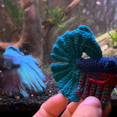 Betta Fish Crochet Amigurumi Pattern - Etsy
