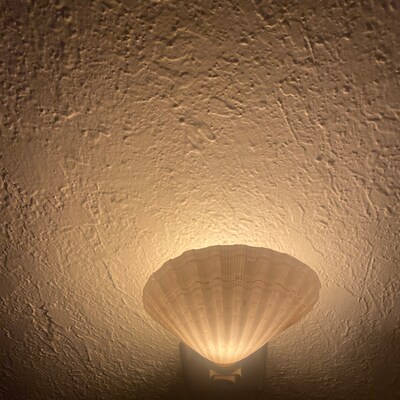 DEEP SCALLOP Sea Shell NIGHTLIGHT - Etsy