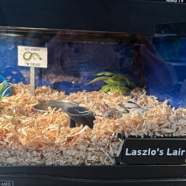 XL Hoggy Hide. Burrow Hide. Snake Hide for Western Hognose, Colubrids ...