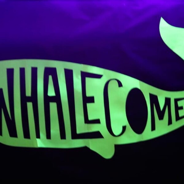 Whalecome - Whale - Beach House Sign - Nautical Sign - Funny Sign ...