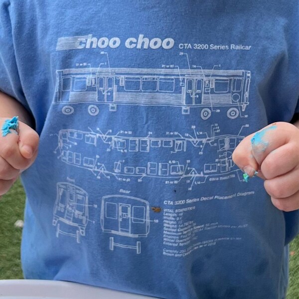 CTA Rail System Map Poster - Features All Lines: Red, Orange, Blue ...