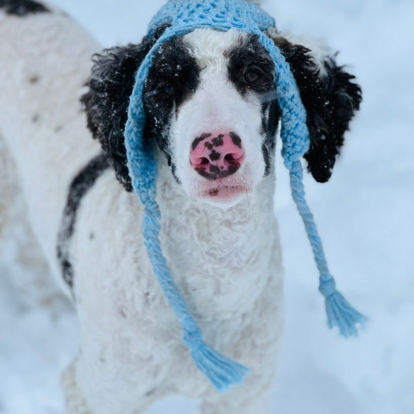 Corgi Beanie Dog Beanie Corgi Hats Dog Hat Dog Beanie Fur Baby Beanies ...