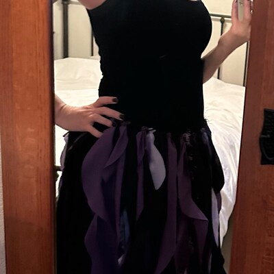 30 Zebra Top Seashells Seashells Australian Seashells Seashell Craft ...