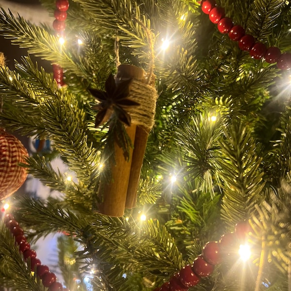Citrus & Cinnamon Handmade Ornament Set - Etsy