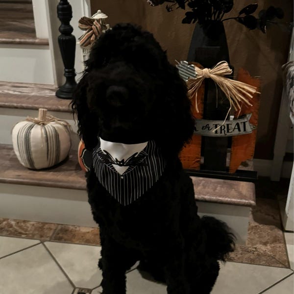 Custom Sci Fi Phone Case, Sci-fi Uniform, Captain, Star, Boldly Go ...