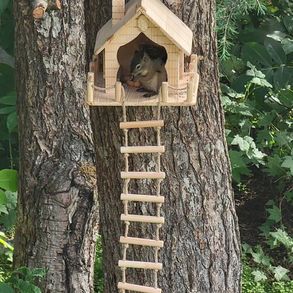 Wooden Squirrel Feeder, Personalized Squirrel House, Garden Decore - Etsy