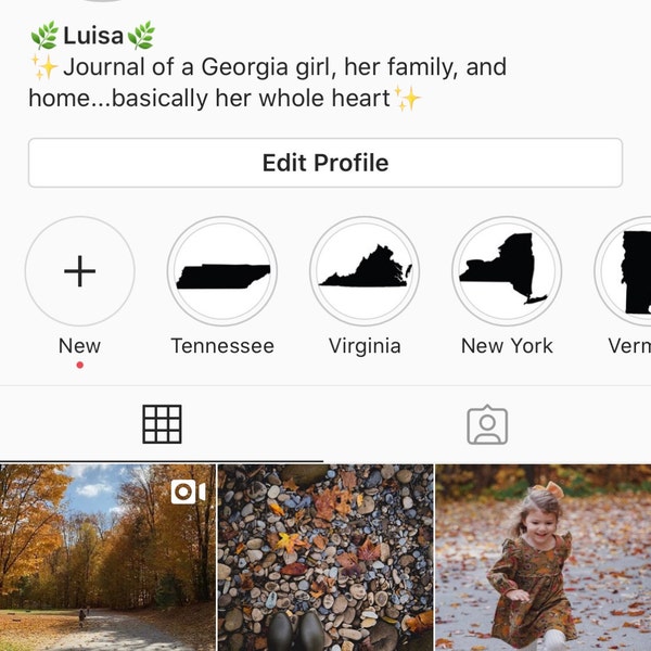 196 Country Outline Maps - Instagram Story Icons - Pink Gradient ...