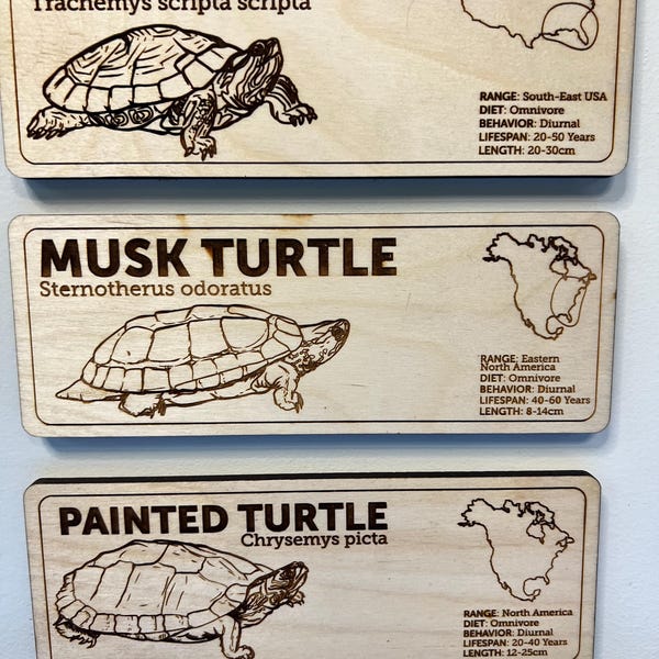 Jurassic Tags // Park Parody Species Identification Tags for Reptiles ...