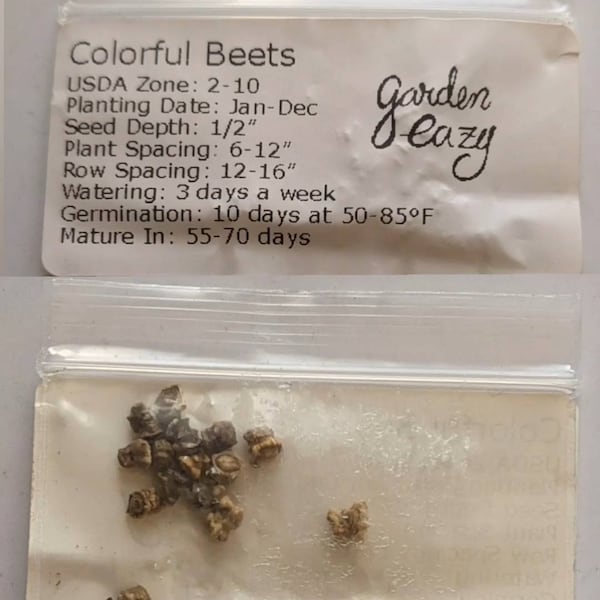 Colorful Beet Seeds - Organic, Heirloom, Open Pollinated, Non GMO ...