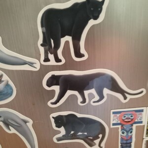 Orca Magnet Set Killer Whale Waterproof Vinyl Magnets for Refrigerator ...