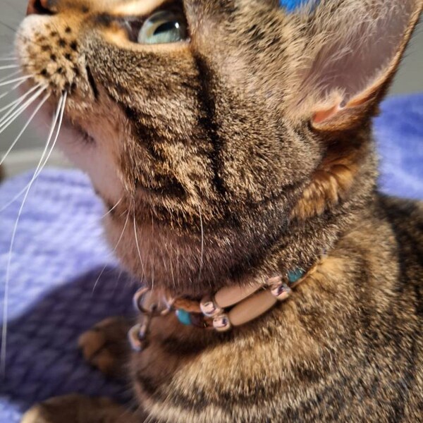 Native American Cat Collars -beaded Cat Collars - Cat Collars - Custom ...