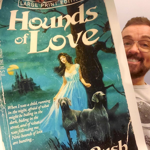 Kate Bush "hounds of Love" 1970s Gothic Romance Novel Mashup Art Print ...