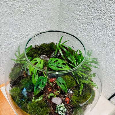 Moss Branches 10 Pieces Live Moss Sticks Live Moss Twigs Moss - Etsy