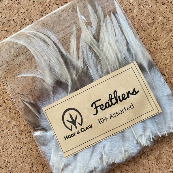 Colorful Rooster Saddle Hackle Feathers 40 Feathers, Assorted Sizes ...