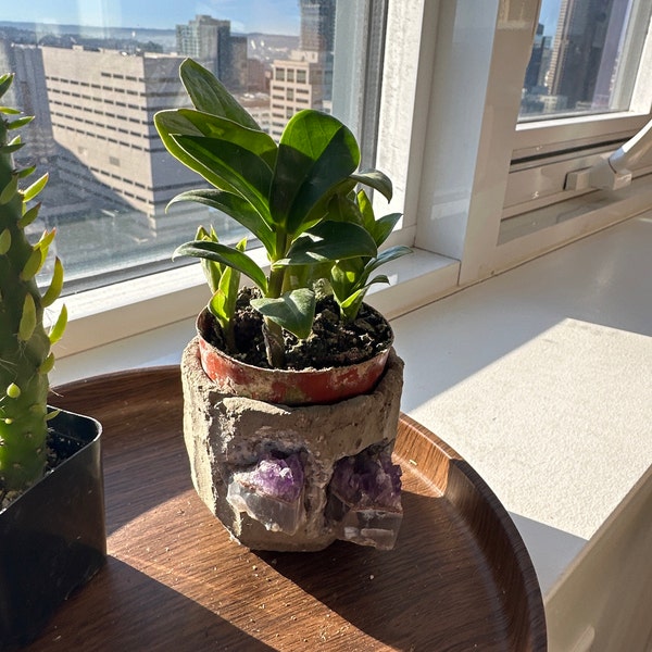 Geode Planter/ Cement Planter/ Small Plant Pot/ Brazilian Amethyst ...