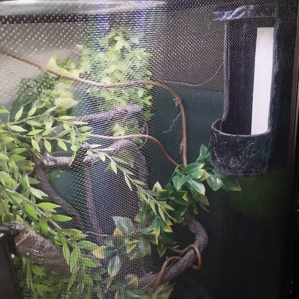 Naymars' Lizard-alley Cricket Feeder. Durable Made in the USA Chameleon ...