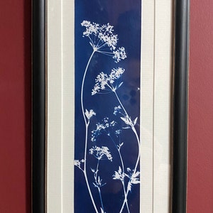 Pack of Eight Blank Greetings Cards With Reproductions of My Cyanotype ...