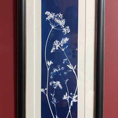 Pack of Eight Blank Greetings Cards With Reproductions of My Cyanotype ...