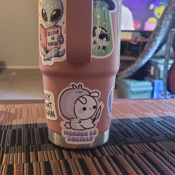 Please Handle With Love FRAGILE Sticker Cat Meme Stickers Kawaii/funny ...