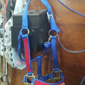 Personalized Nylon Sheep Halter - Etsy