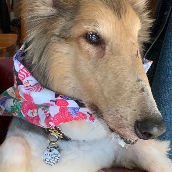 Dog Tag, Dog Tags for Dogs, Music Speaks, Notes on a Scale, Music Dog ...