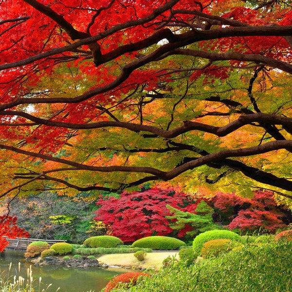 One Memory A Day Journal, Digital Photo Journal, Digital Photo Album ...