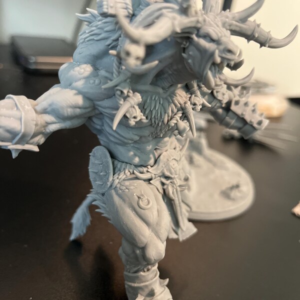Tsyurin Monolith Sage | Dnd Minifigures | Frostwild Setting Guide Set ...