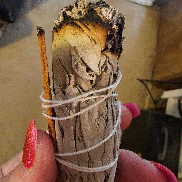 Large Beautiful Abalone Shell Made for Smudging or Decor, Smudging Bowl ...