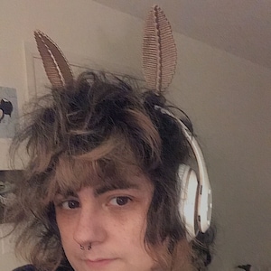 Moth Antenna Headphone Attachment Moth Costume Headset Horns Butterfly ...