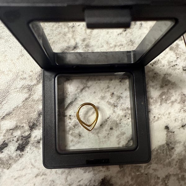 16G Abalone Shell Moth Septum Ring/hinged Segment Septum Clicker/daith ...