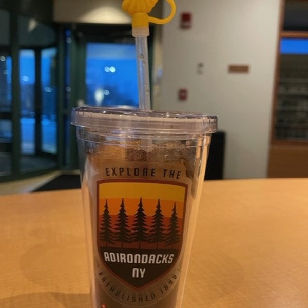 Adirondacks Rubber Hose Inspired Retro Pennant - Adirondack Pennant ...