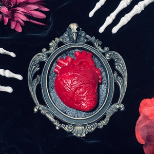 Anatomical Heart Occult Gothic Home Decor - Etsy